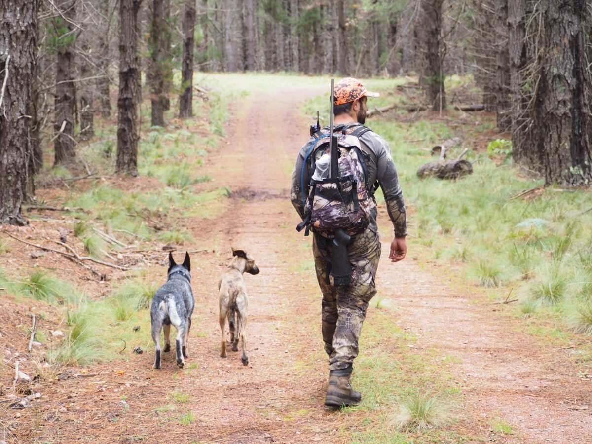Forest to Fork - Sustainable, Ethical Hunting Australia